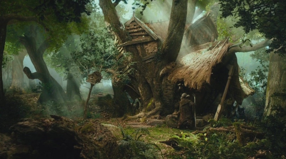 robertguyton: The House of Radagast the Brown