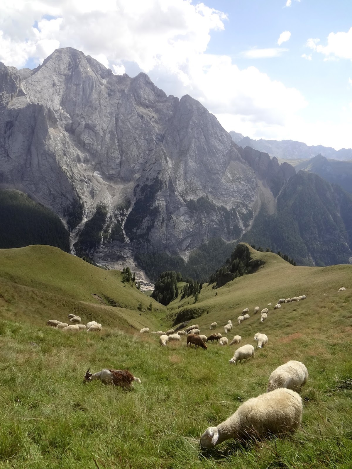 Trekking Dolomiti: da Passo Pordoi al Lago Fedaia per il sentiero Viel ...