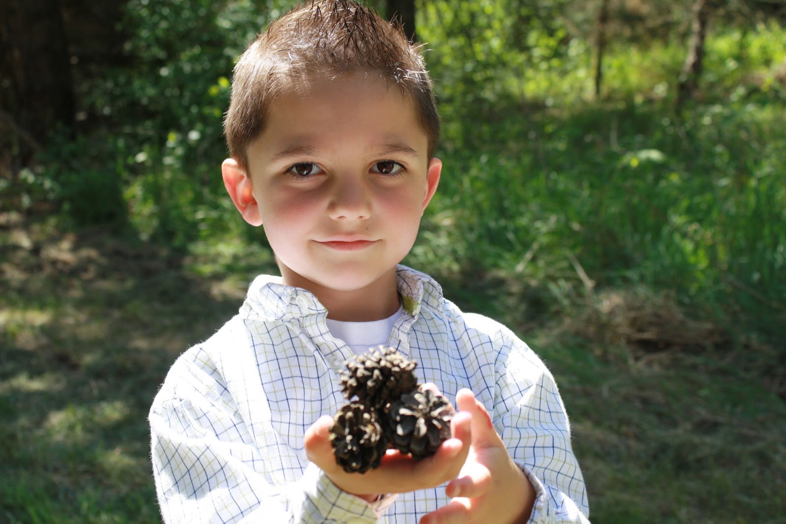 The Pearl in the Oyster: February 2013