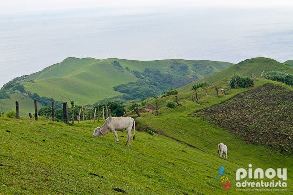 THINGS TO DO IN BATANES: Batan Island North Tour - "Amazing Places to ...