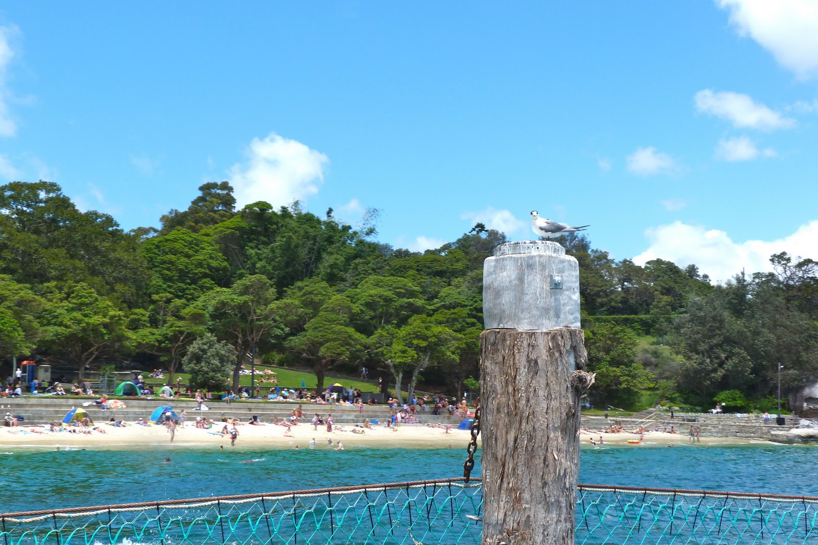 beachcomber: boat people