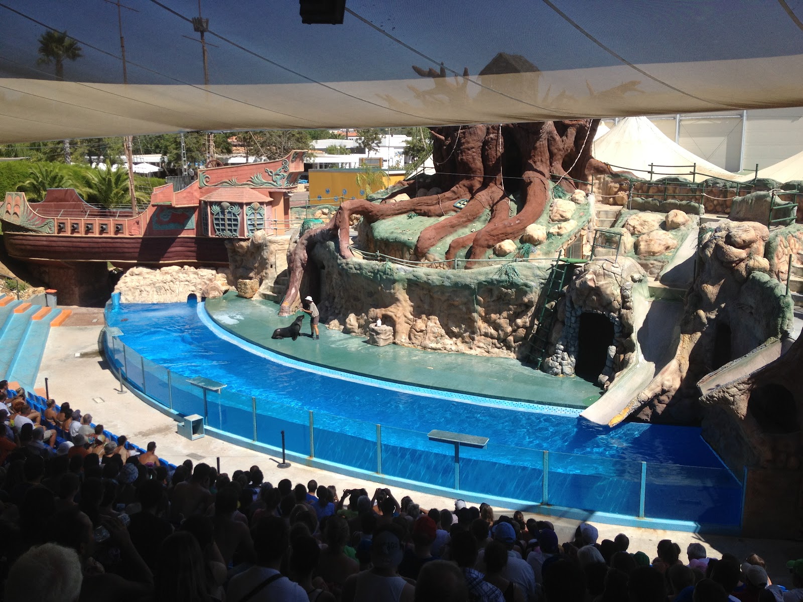 Shiu, ninguém sabe!: Visita ao Zoomarine