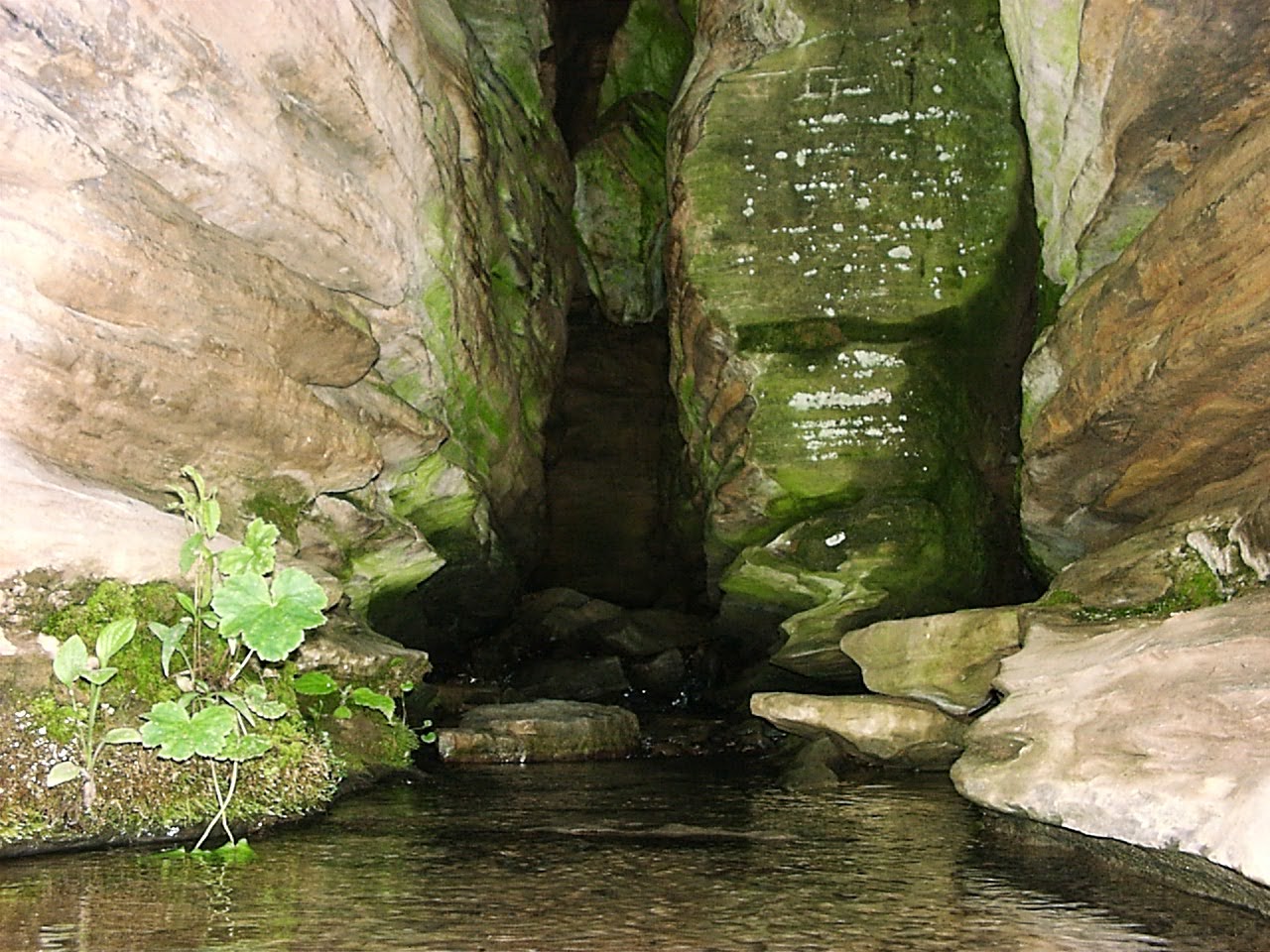 Mysterious Wilderness: Wish List - Casparis Cave
