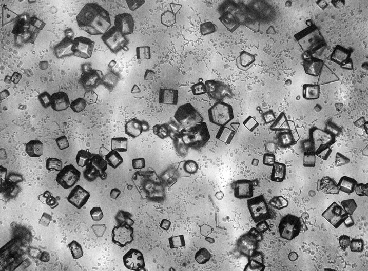 The Halo Vault: Did near ground turbulence cause the 22° and 46° halos ...