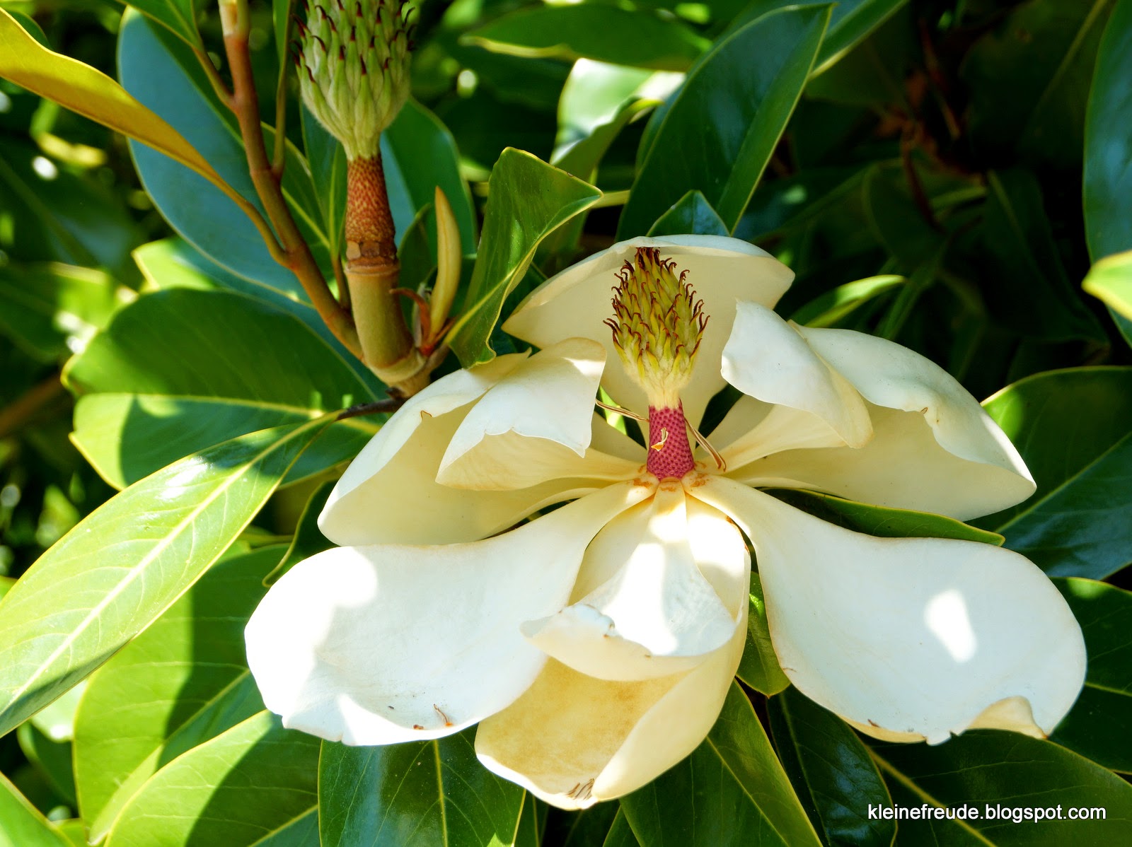 kleine freude: Juni 2014