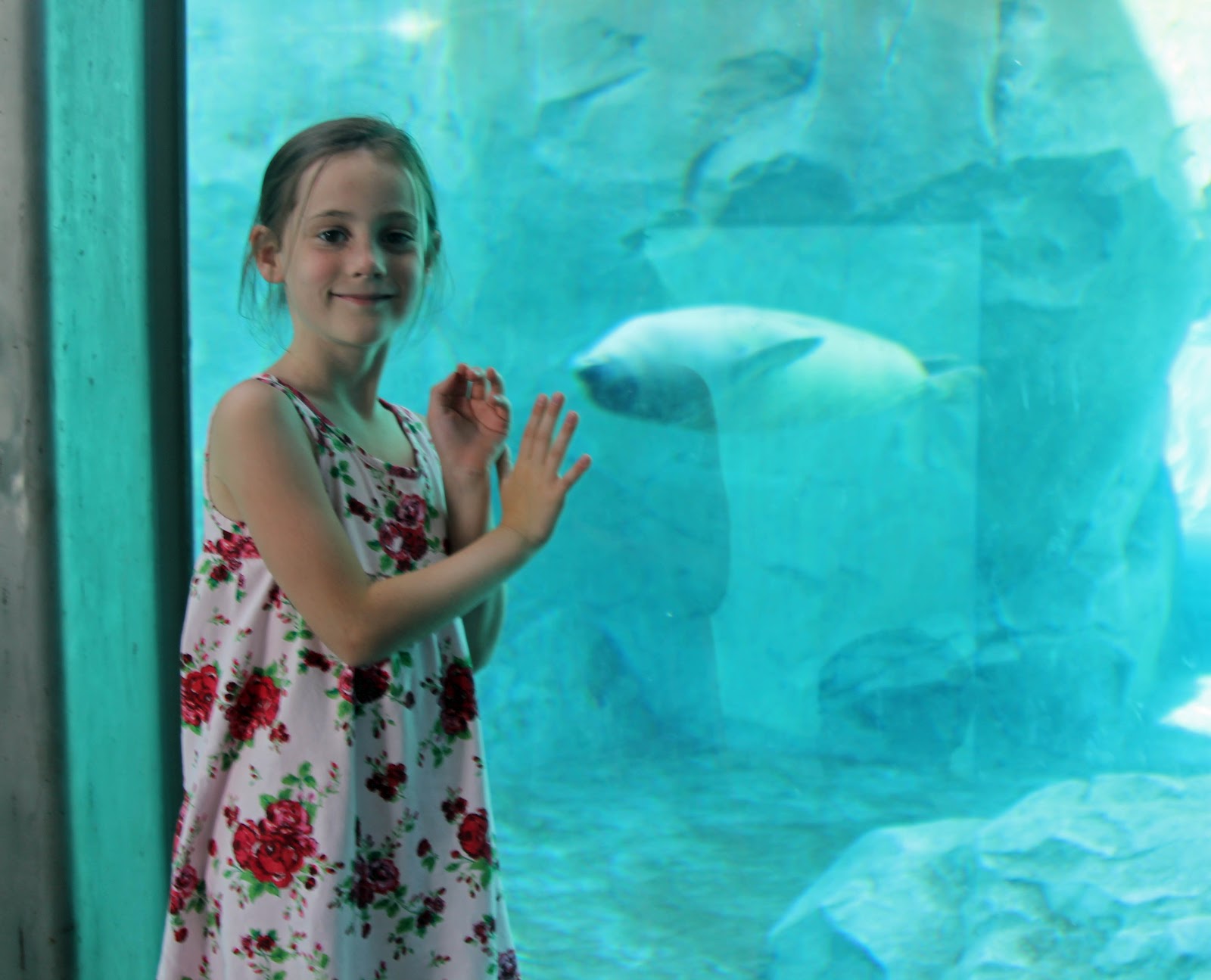 Newbry News: The Zoo for the Birthday Boy