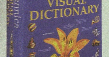 r.books: Britannica Visual Dictionary
