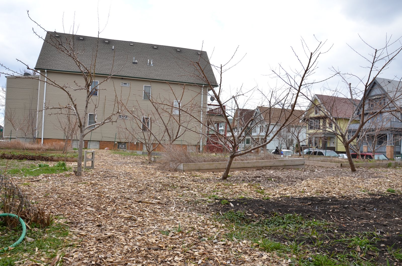 Cultures and Communities in Milwaukee: Walnut Way