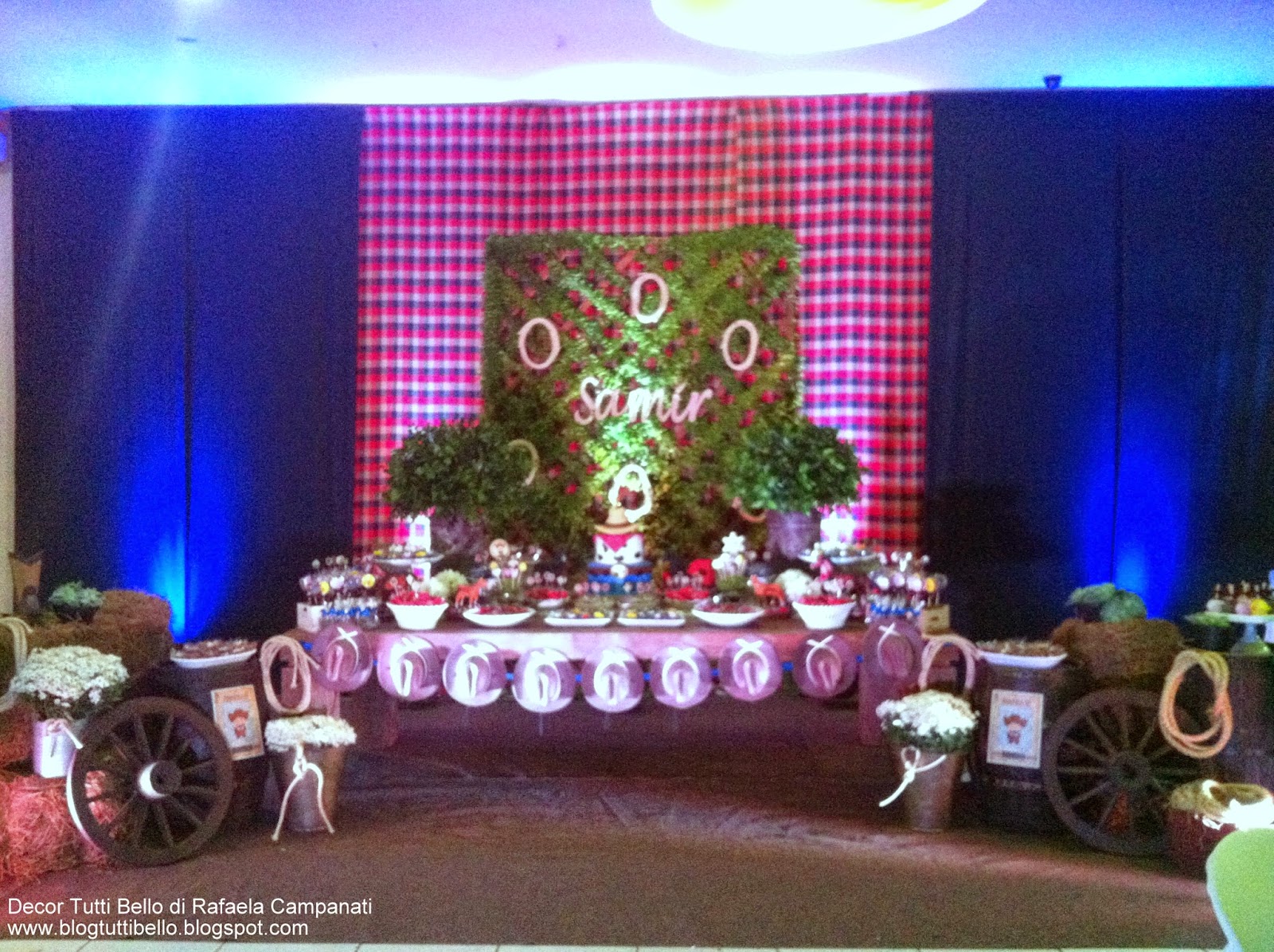 Tutti Bello di Rafaela Campanati: Decor Infantil: Aniversário Samir ...