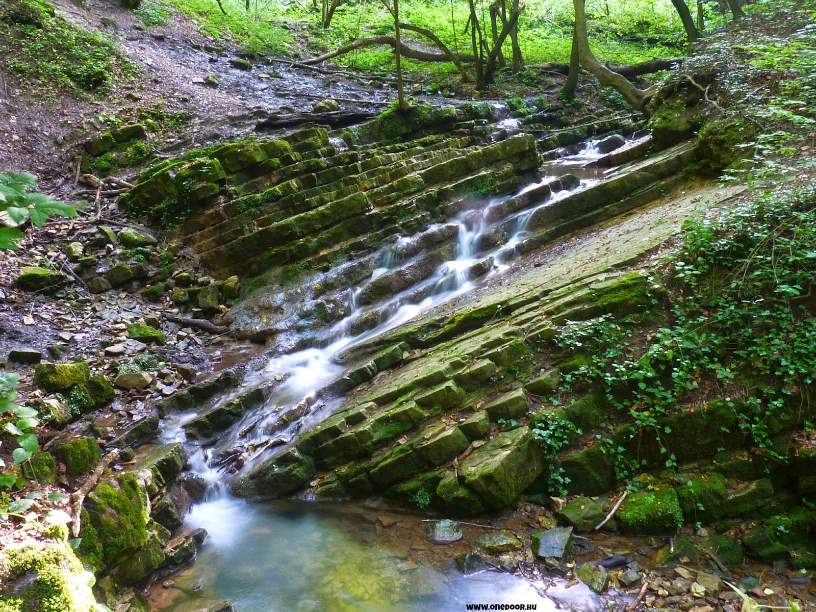 Top 10 kihagyhatatlan természeti látnivaló a Mecsekből