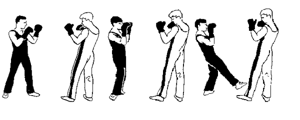 Club ARAMÁC Savate Boxeo Francés.: Tecnicas de SBF