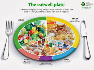 SCIENCE BLOG. YEAR 4: THE FOOD WHEEL