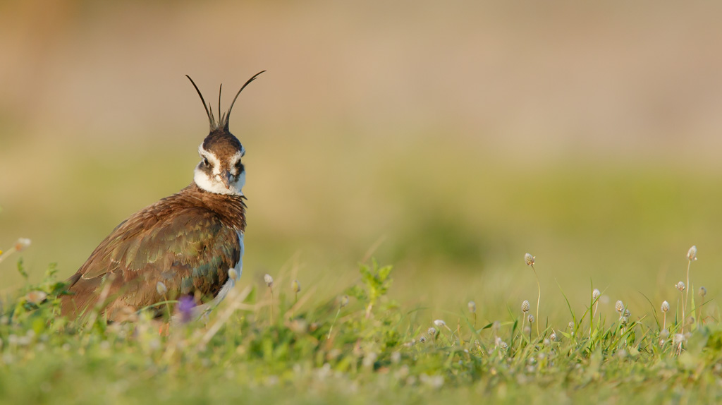 Nikos Fokas Photopraphy Blog