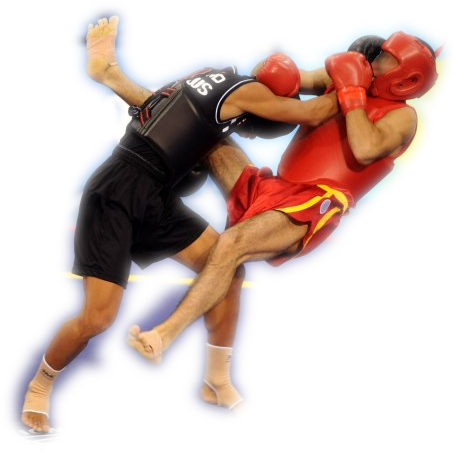 Escuela de Kung Fu Hung sing Choy Lee Fut "WU-ZHI": Acerca de el Sanda ...