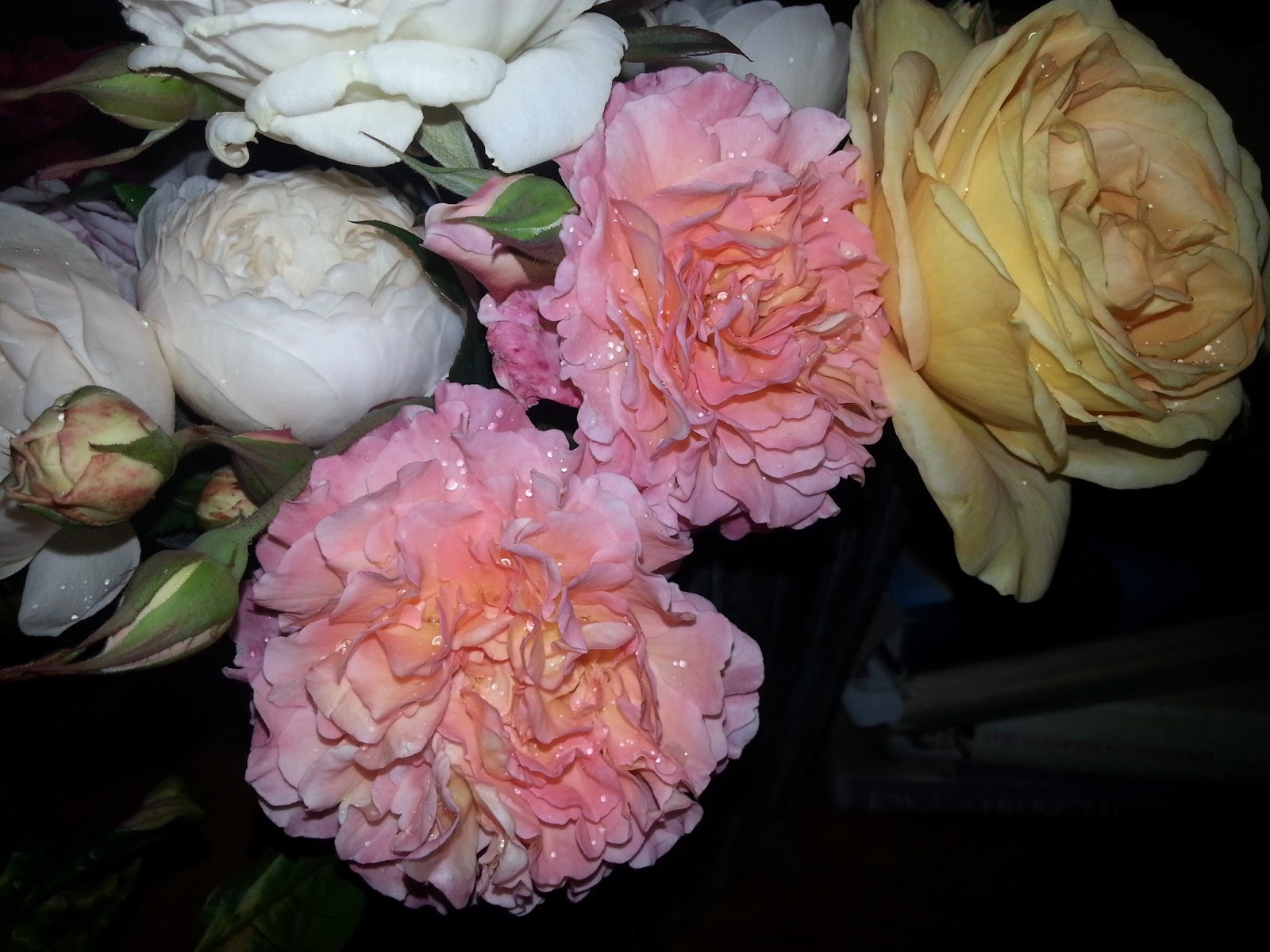 .. AT MY ROSE GARDEN - 'Edgeworth Lley', Heirloom Roses: A Flower ...