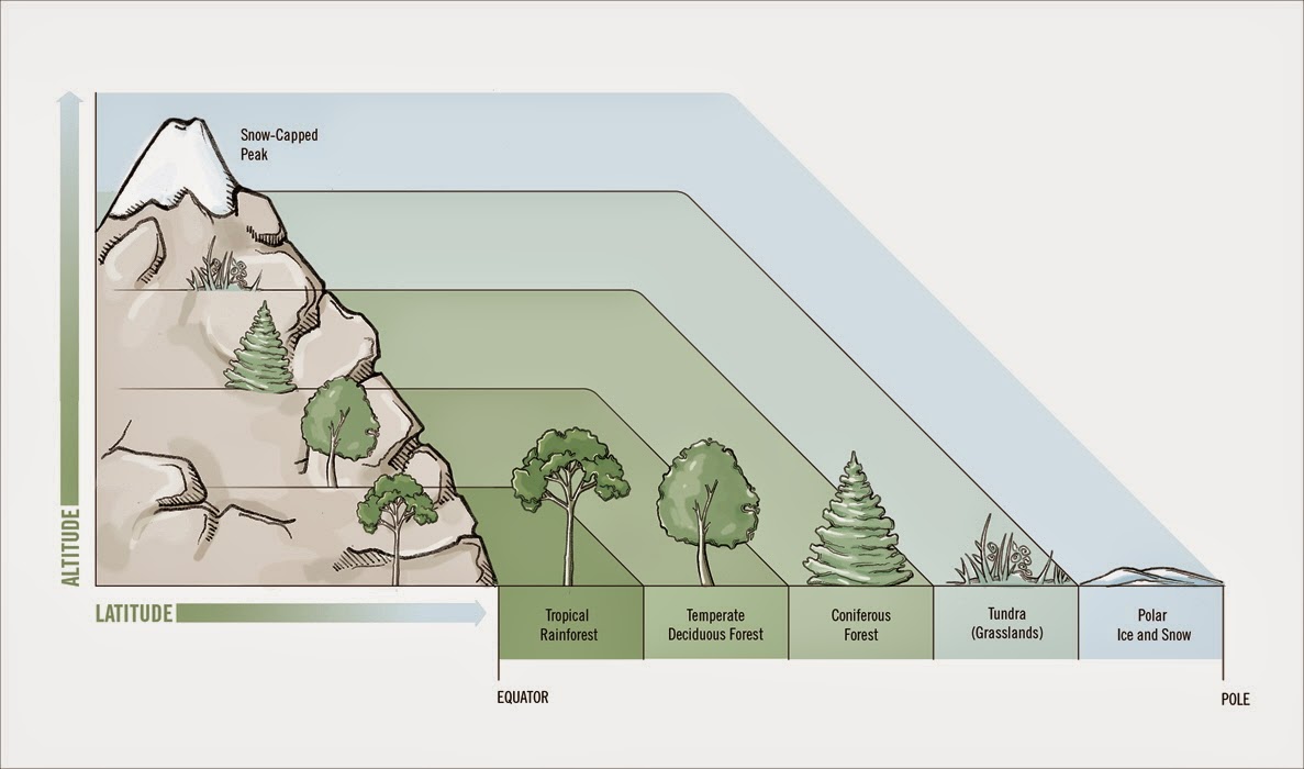 Cosa Determina il Clima? II° Perché con l' ALTITUDINE diminuisce la ...