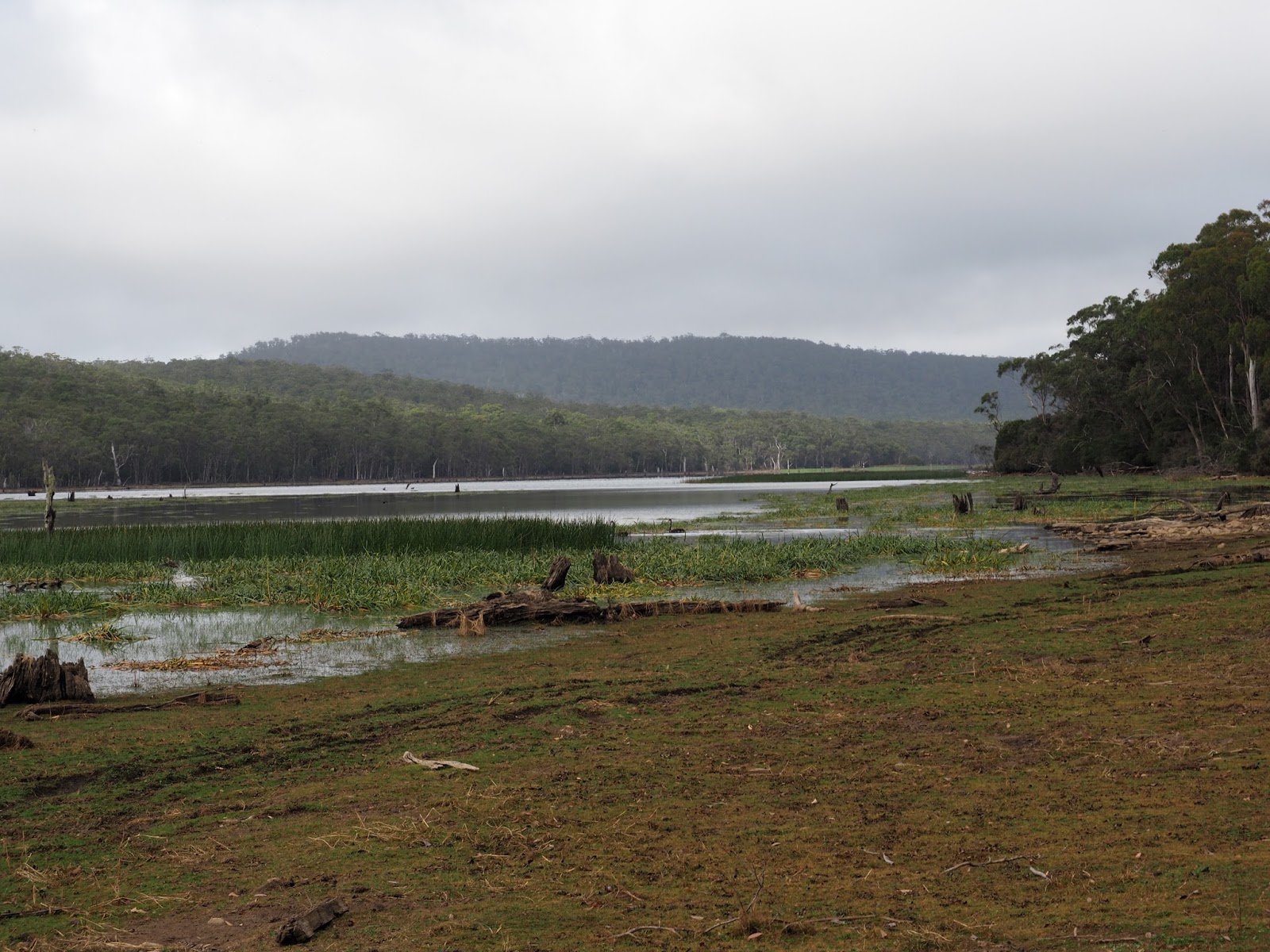 Tooms Lake | Hiking South East Tasmania