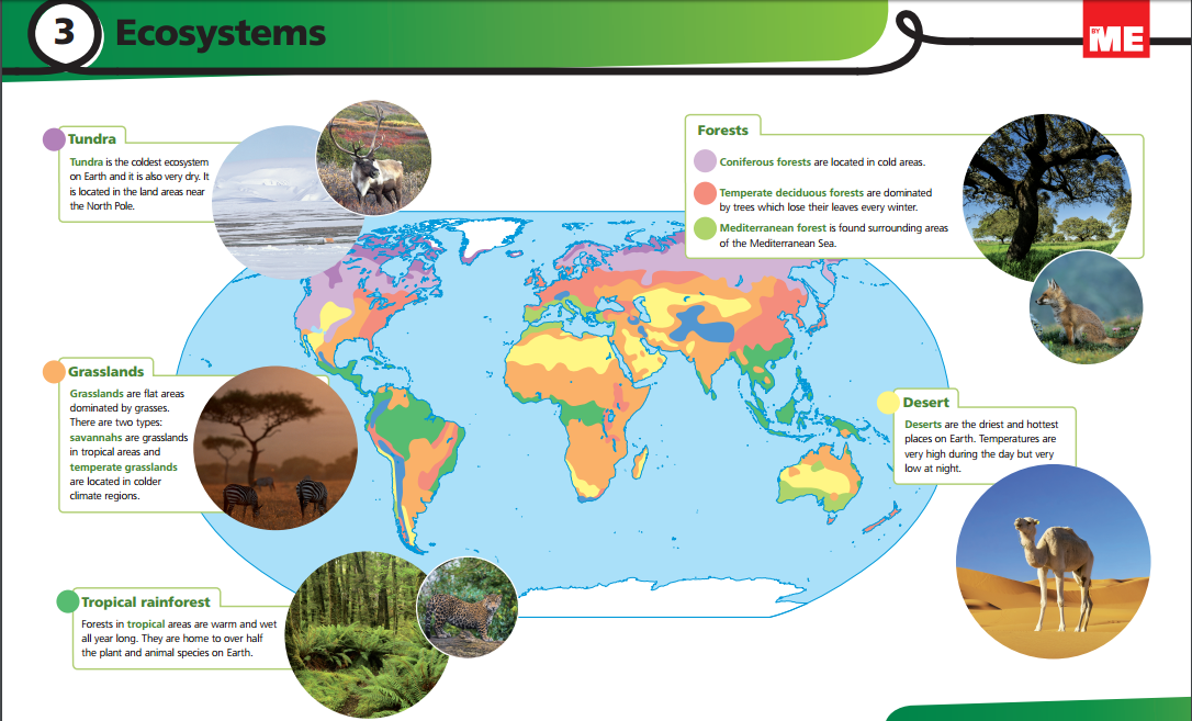 Let's learn English!: PRIMARY 6. ECOSYSTEMS!