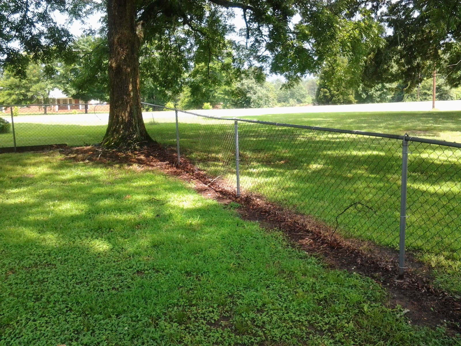 William the Dog Trainer: Dog Fences and Other Containment Devices