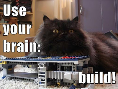 Growth Mindset & Feedback Cats: English. Use your brain: build!