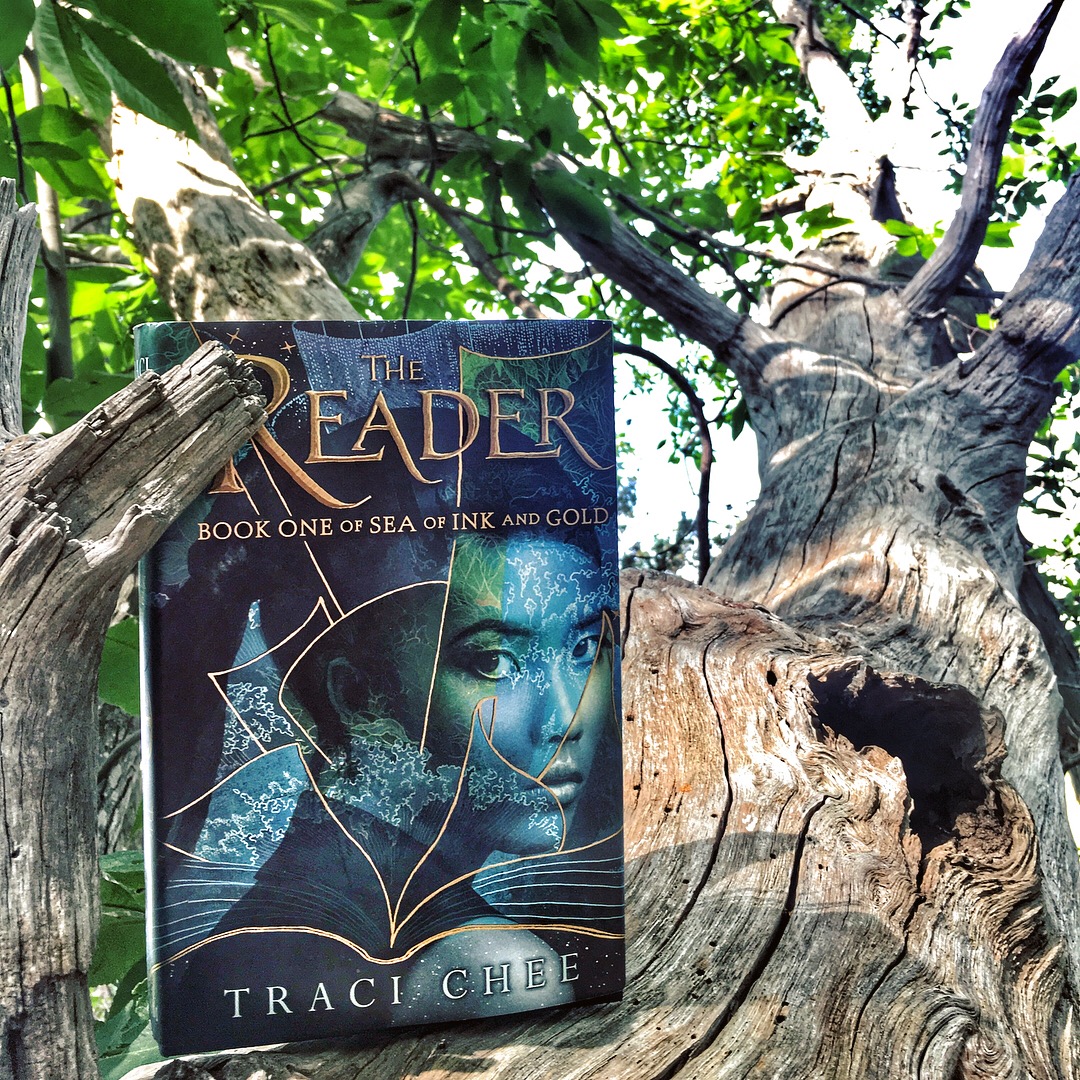 Love is not a triangle: The Reader by Traci Chee: The ReReader Campaign ...