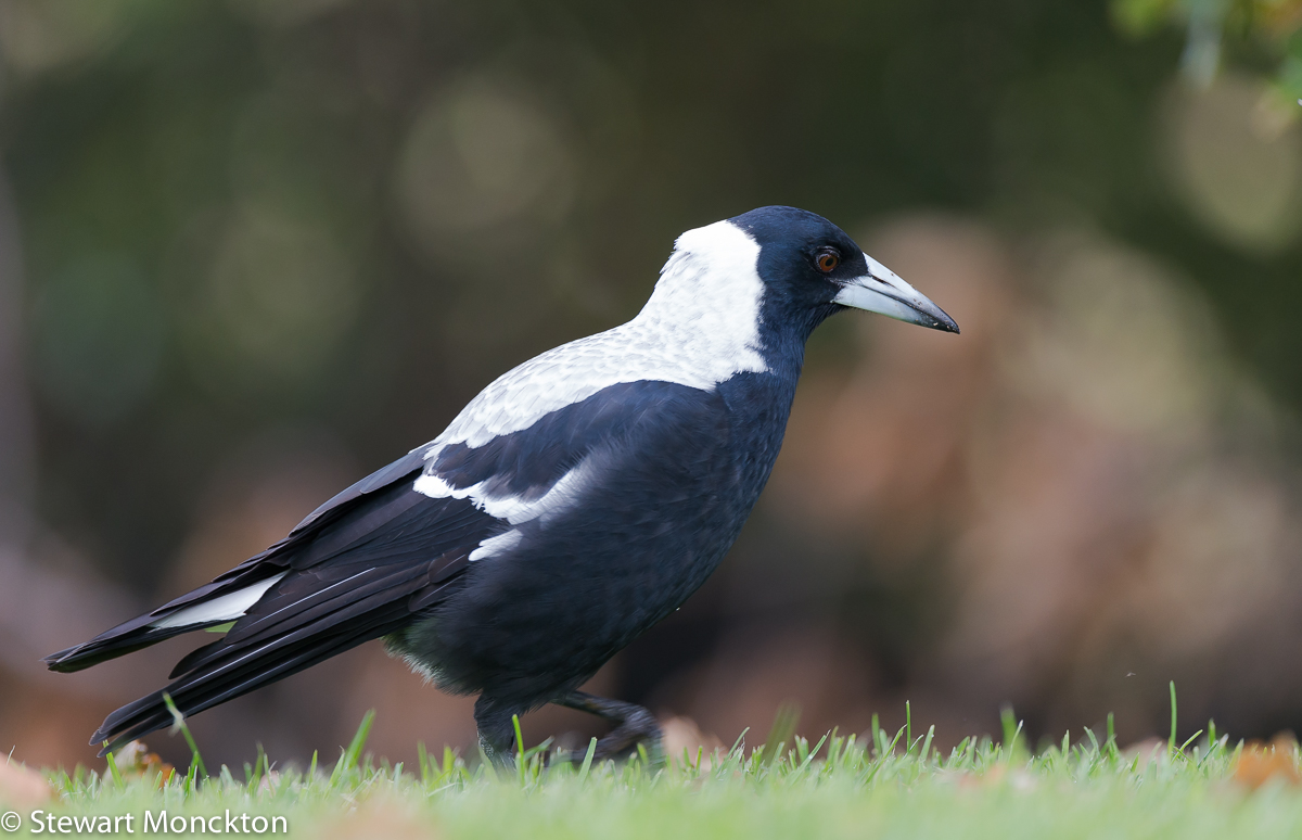 Paying Ready Attention - Photo Gallery: Seven for a Secret