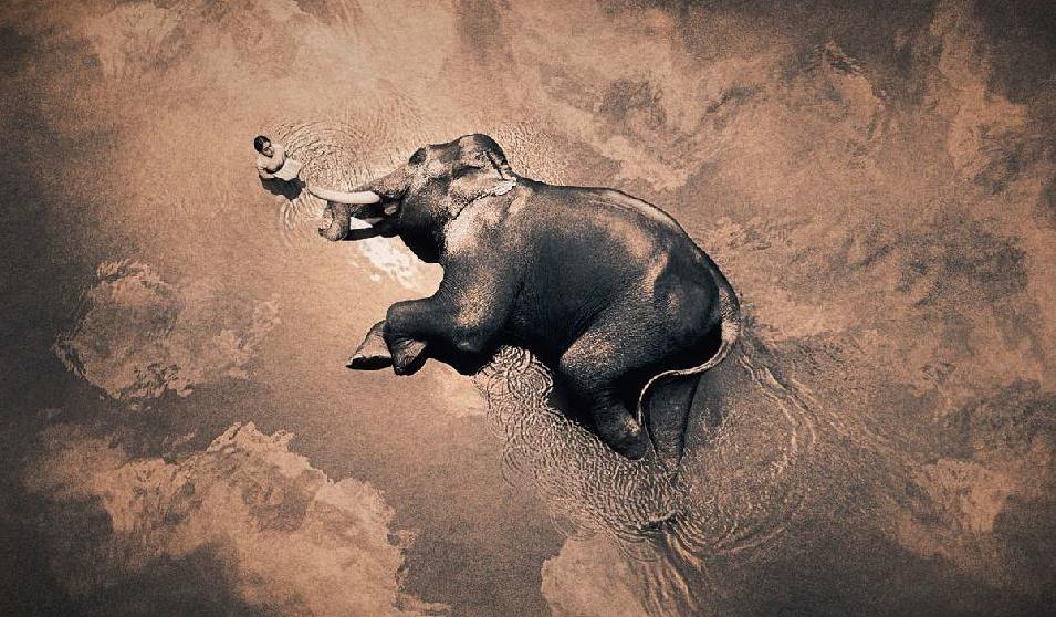 Gregory Colbert, 1960 ~ Canadian photographer | Tutt'Art@ | Pittura ...