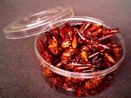 Herman's Blog: Anehnya Indonesiaku, dari Belalang Goreng sampai Tambelo ...