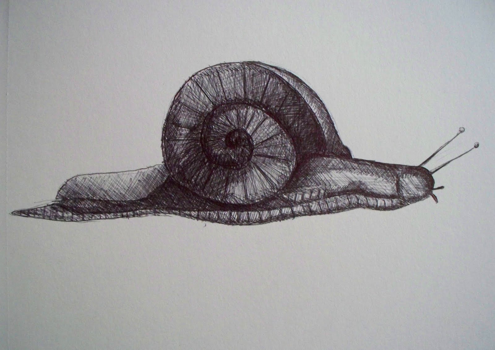 the scenic route...: Biro Bugs