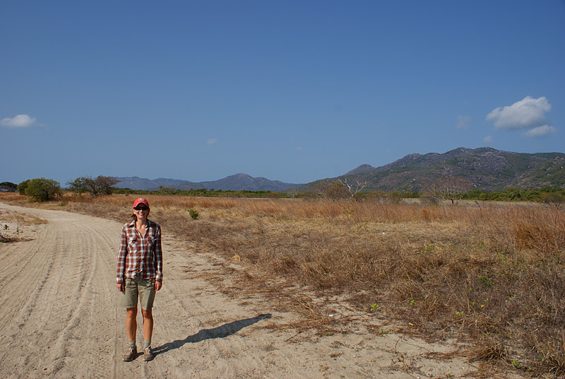 Nele & Andrew Around Oz: Bathurst Bay Campsite, Cape Melville National ...