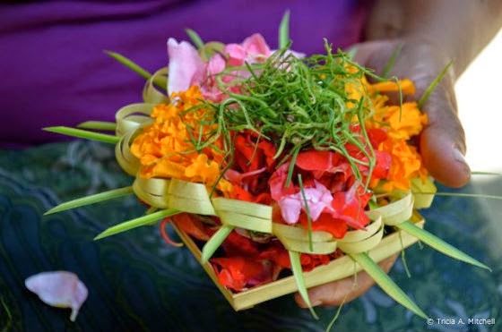 Bali Indonesia Holiday Travels: Canang Sari A Religious Balinese Offering