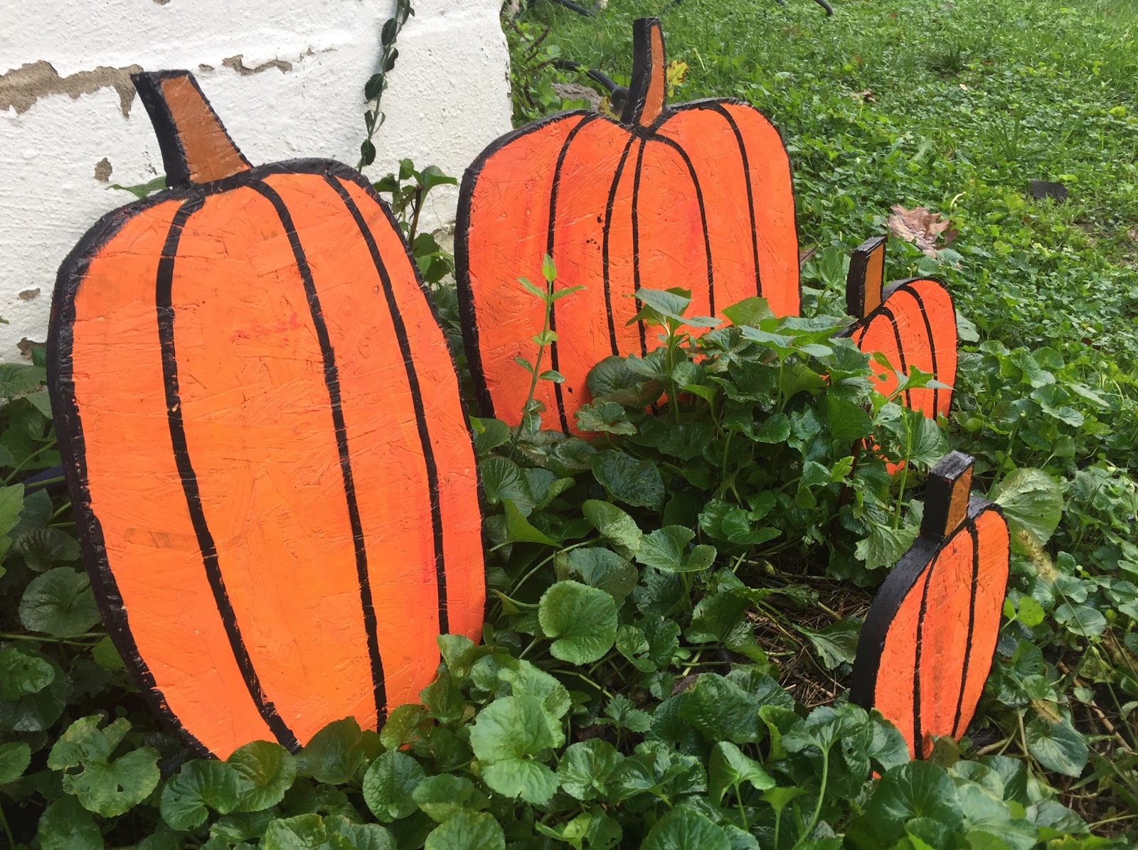 Golden Skies: DIY Pumpkin Patch