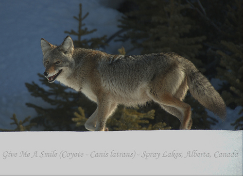 Unfinished Madness and Other Walks of Life: February 2012