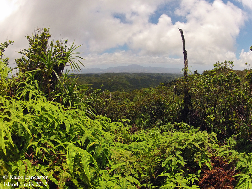 Island Trails: Pupukea to Laie - June 24, 2012