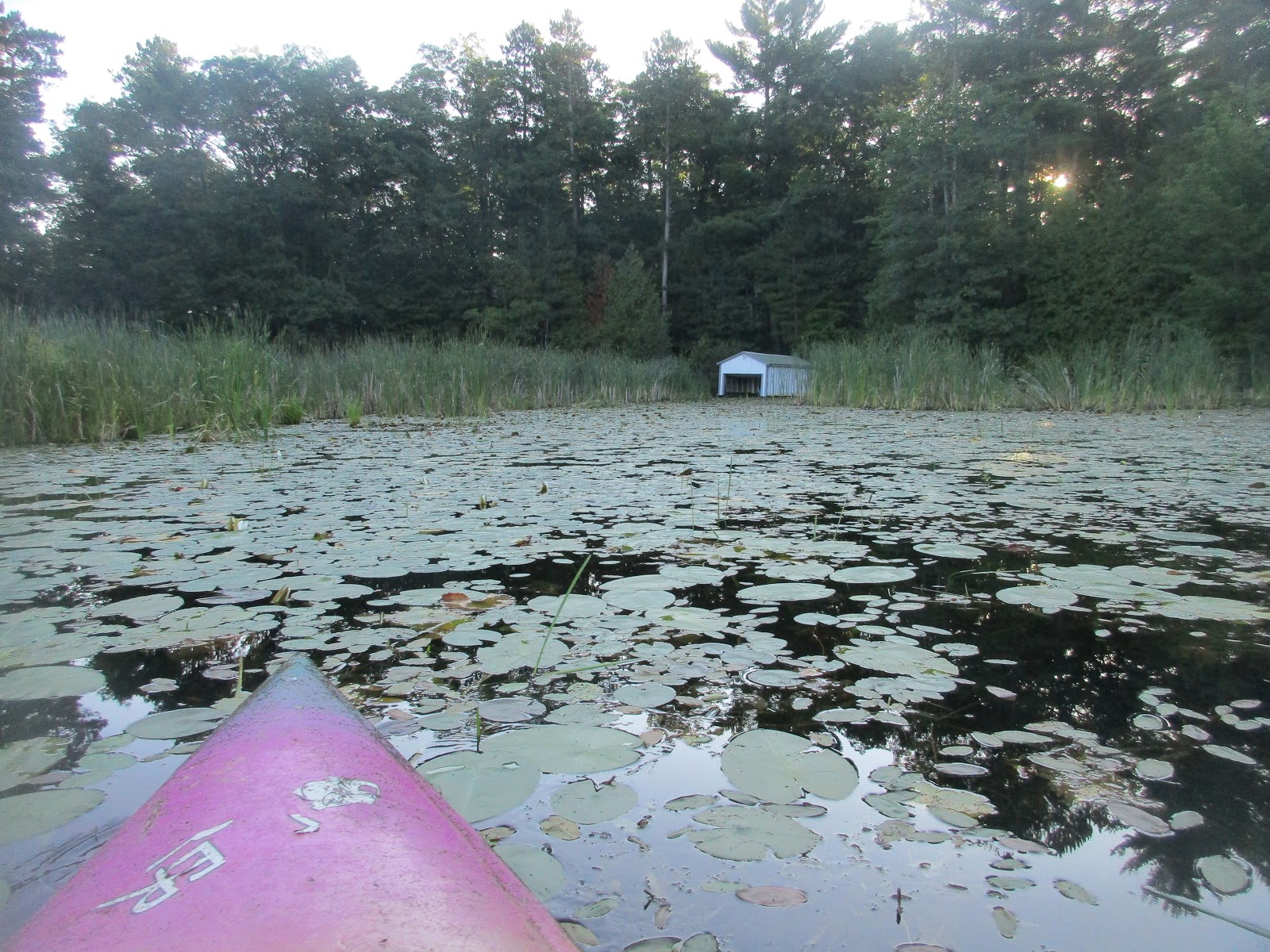 Dave's Yak Tales: Day 2 at Little Spider Lake