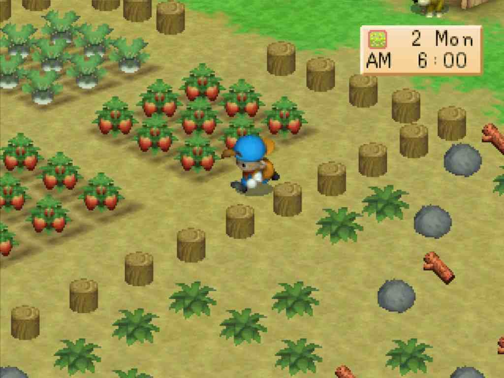 Harvest Moon : Boy and Girl PSP High Compressed 76 Mb