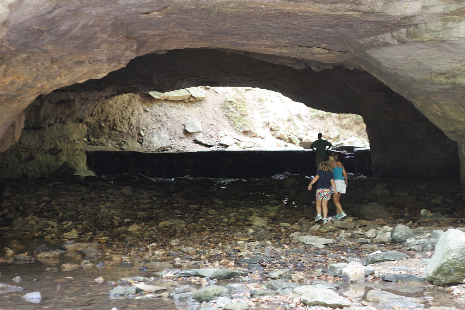 My Little Yellow House: Devil's Icebox