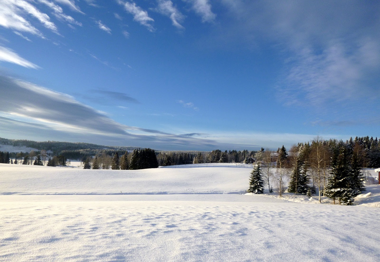 Gårdsbacken: Vinterbilder över vår lilla by