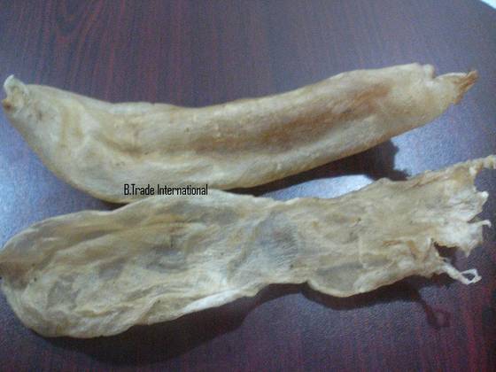 Some Dried Fish Maw Pictures - Alfa Enterprises (PVT) Ltd. Welcome to ...