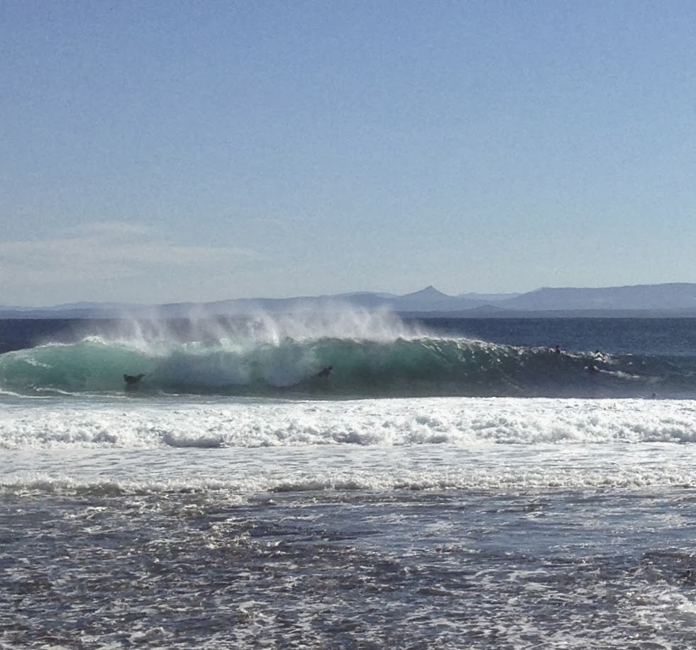 : Board Collector: Ace Cool. Part 2.