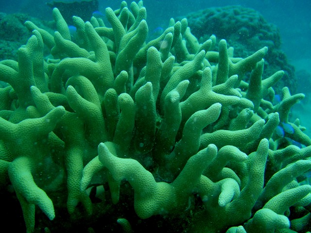 mybeautifulILOILO: Hibotkan Rock Sanctuary: Banate’s Most Popular Excursion