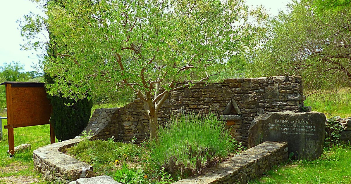 Hrvatski Pjesnici: STABLO ŽIVOTA