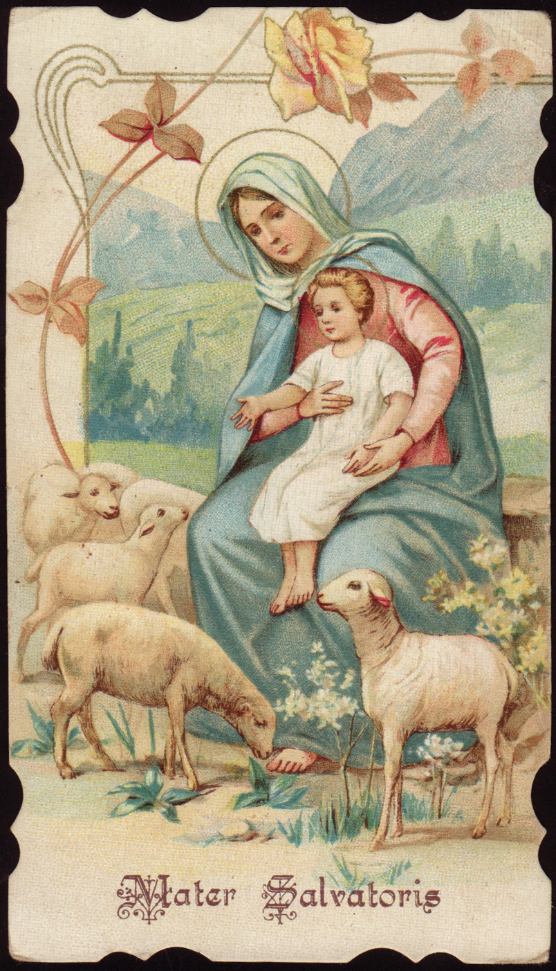 Divini Pastoris Mater