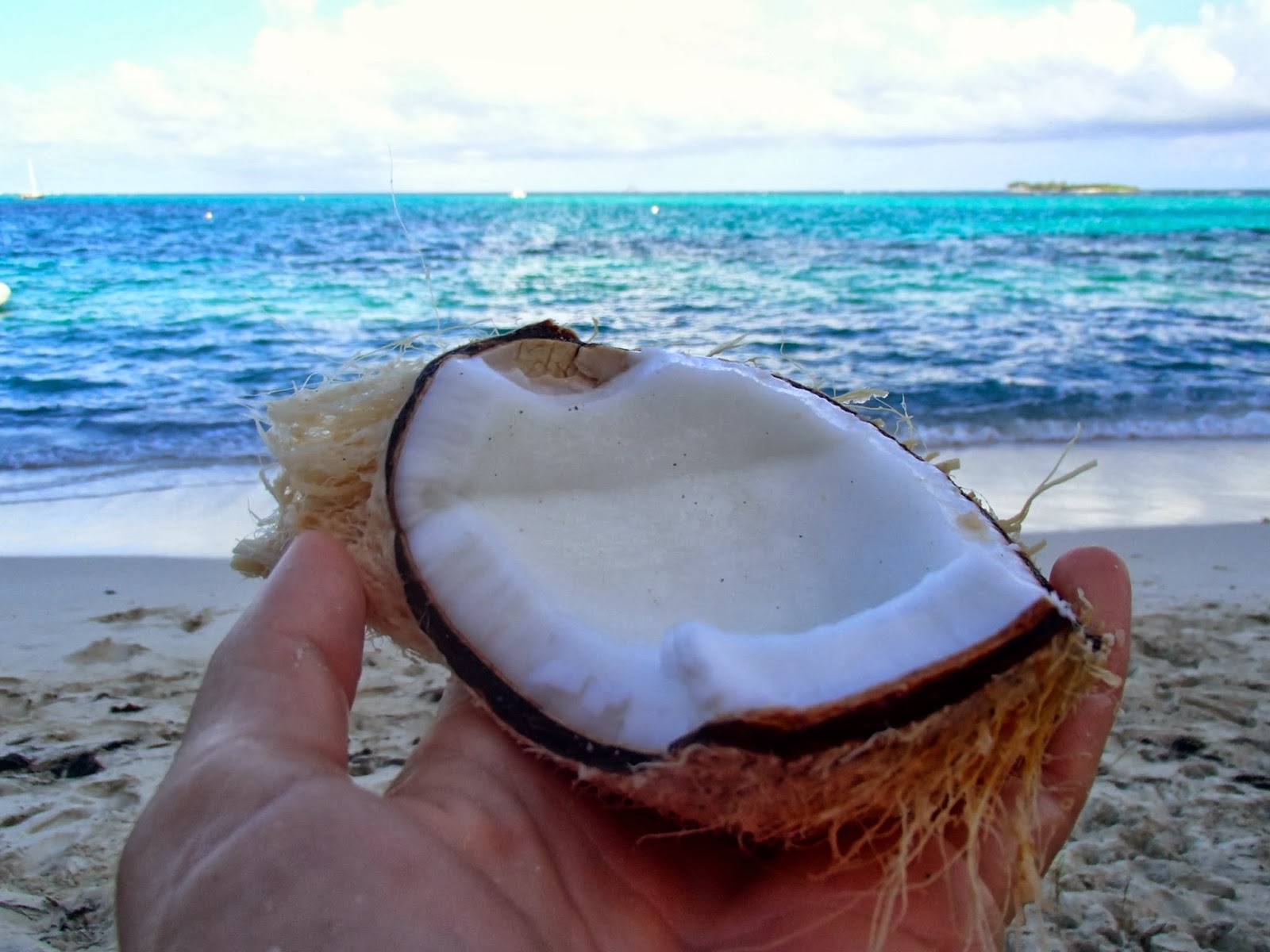 Windtraveler: Cracking Open Coconuts: A Surefire Way for Men to Go Native