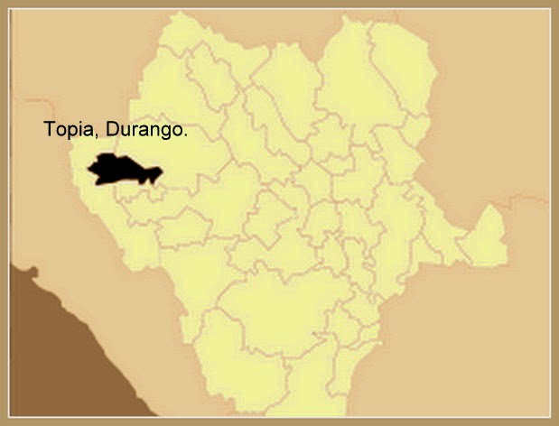 Cabezas de Aguila: El levantamiento de Topia, uno de los primeros ...