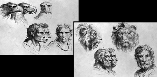 Human To Animal Transformation Art