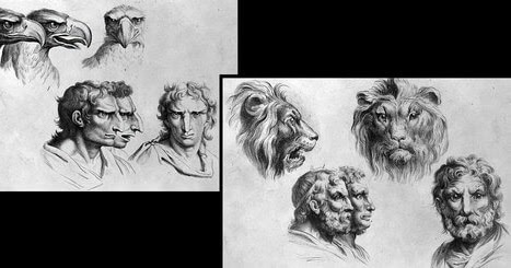 Design Stack: A Blog about Art, Design and Architecture: Animal ...