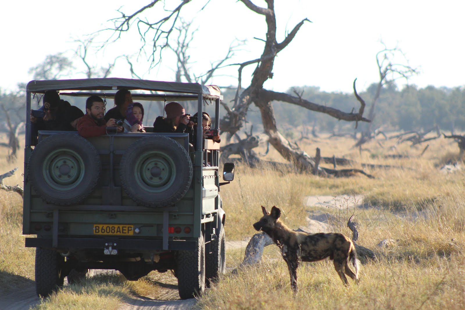 Study Abroad, Botswana: 2018