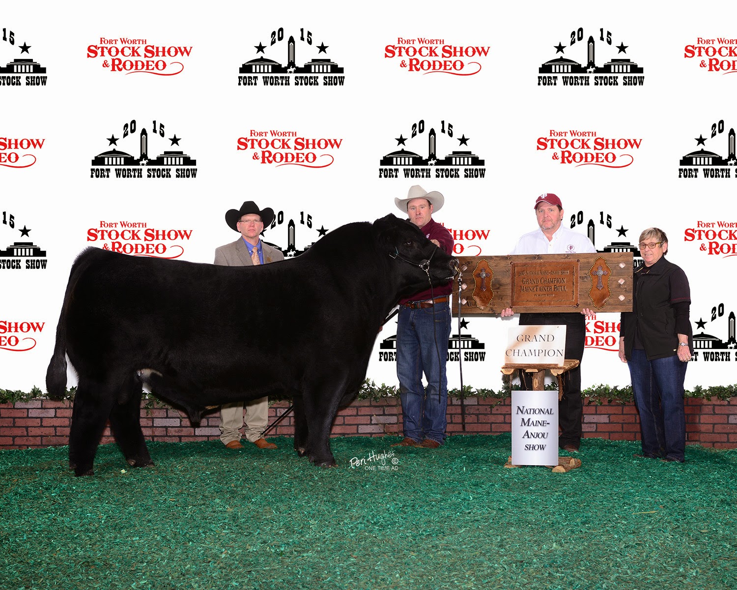 Executive Sires, Inc.: BPF Beast - Triple Crown Winner - Sires a ...