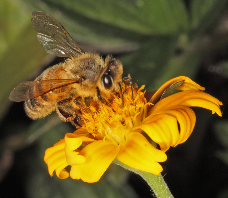 BunyipCo: February 2012